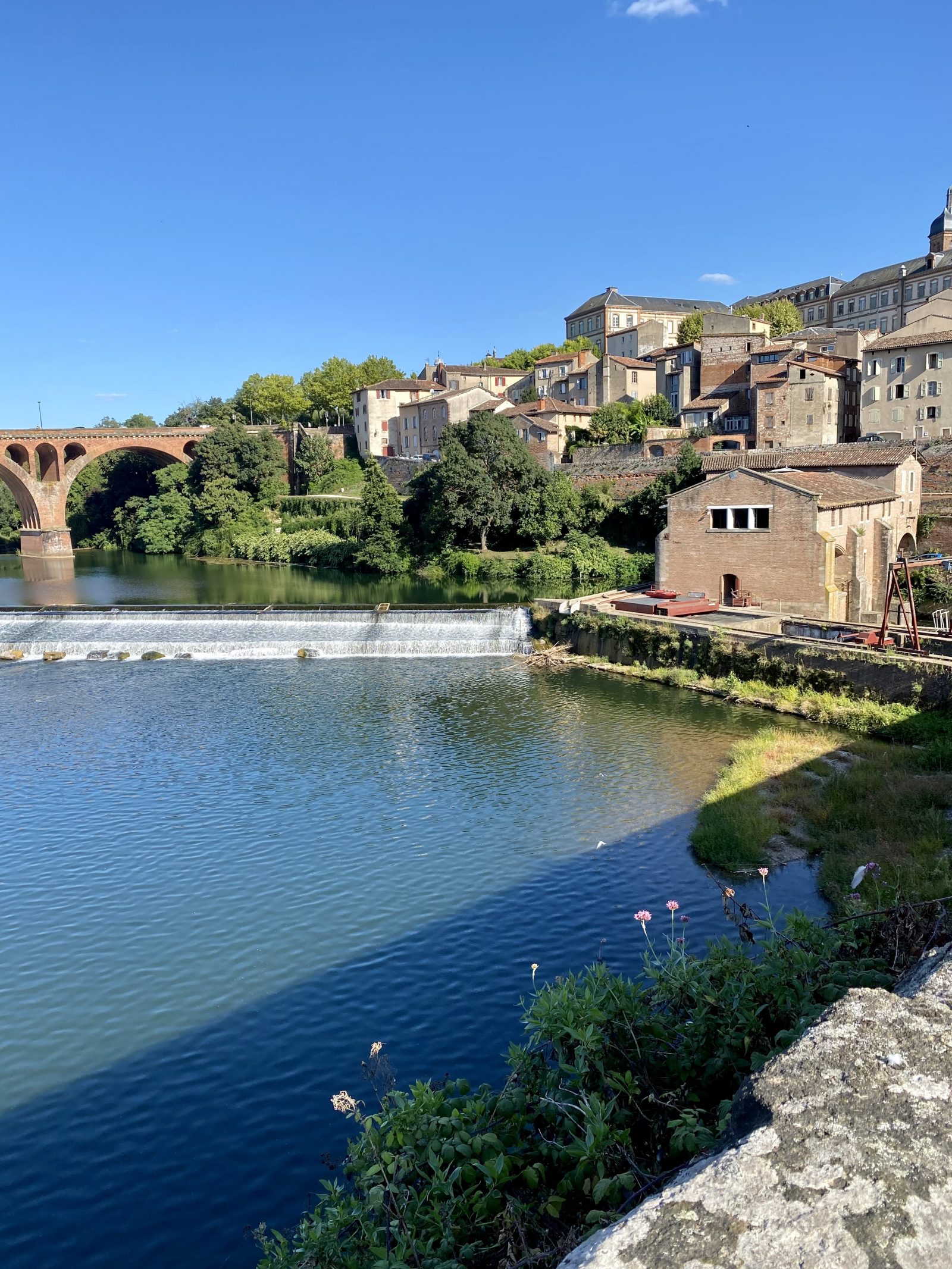 Visiter Albi en 1 ou 2 jours | Bonnes adresses, itinéraire balade
